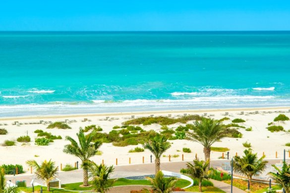 Saadiyat Beach: Complete Visitors Guide to Abu Dhabi's Best Beach | Abu ...