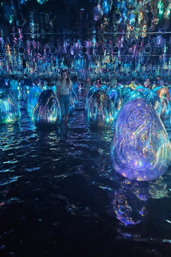 teamLab Phenomena Abu Dhabi: Highlights, Tips & Must-See Exhibits